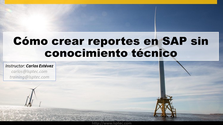Cómo crear reportes en SAP sin conocimiento técnico | EV Academy