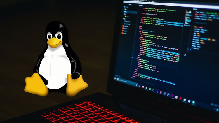 Complete Linux Bash Shell Scripting with Real Life Examples | EV Academy Complete Linux Bash Shell Scripting with Real Life Examples | EV Academy